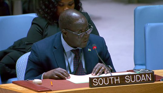 Security Council Adopts Resolution 2820 (2026), Extending Mandate of ...